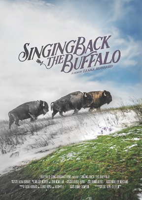 Hot Docs 2024: Our Review of 'Singing Back the Buffalo' - In The ...